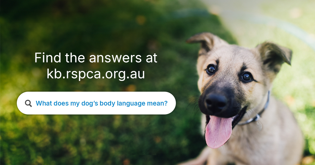 Is the term ‘free range’ on a product label enough to guarantee good ...